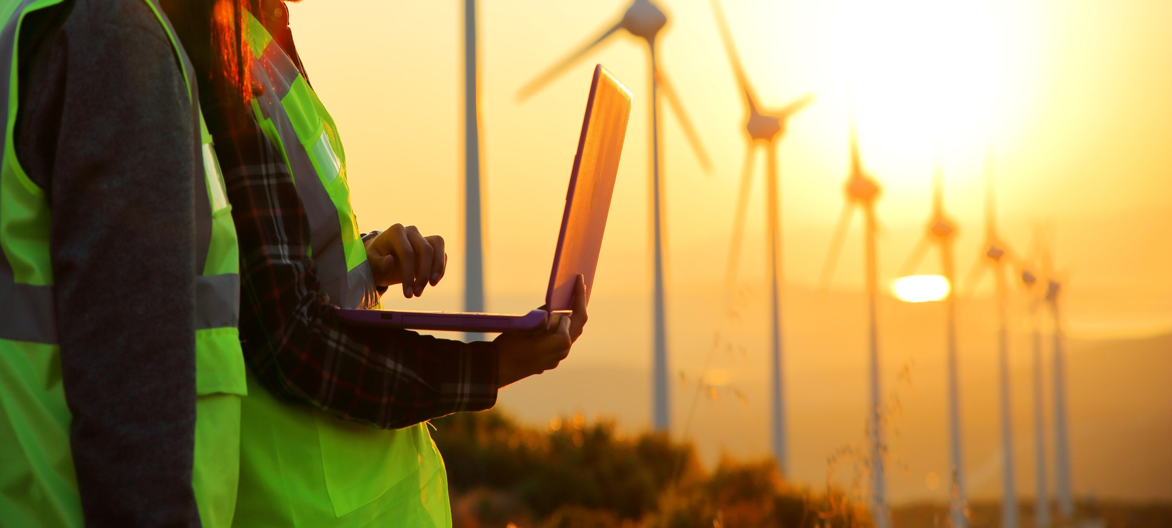 Environmental Consulting – IES